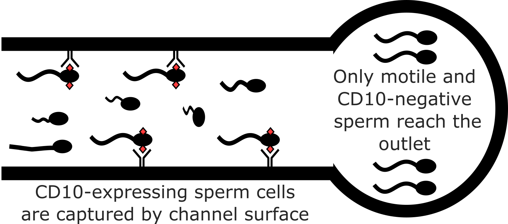 NextGenMicrofluidics - Reference Cases