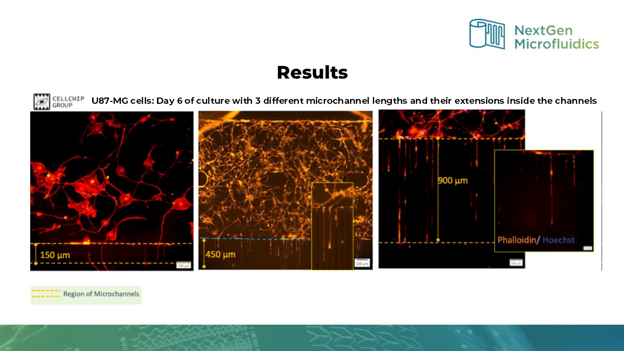 Large-scale manufacturing of foil-based microfluidic chips for neuron ...